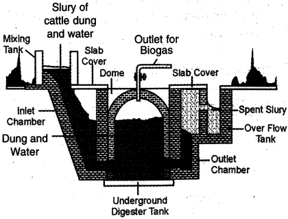 Name the major fuel component of biogas. What | vedclass